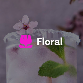 SELERA | Experience Curated Gourmet Syrup & Powder Shopping ID